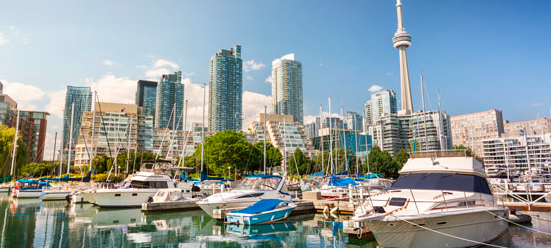 Rashida Dhalla | About Toronto