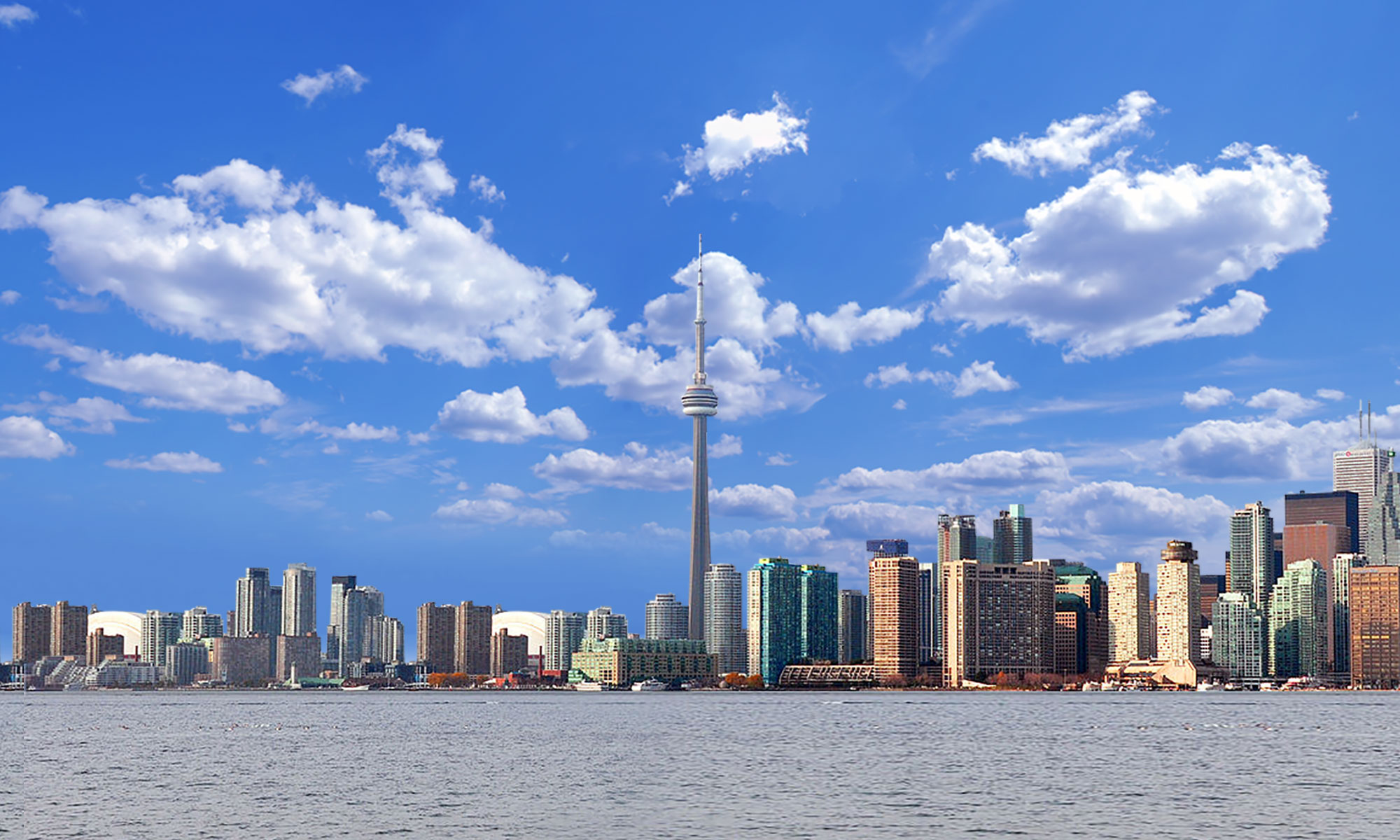 Home | Larry Li Real Estate | Royal LePage Signature Realty Inc Brokerage