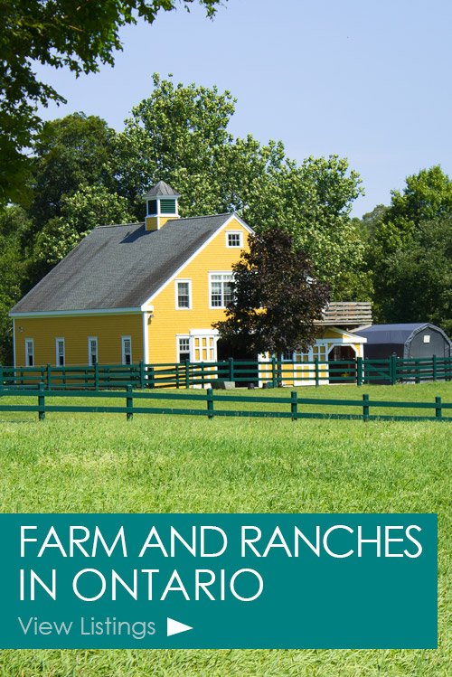 Hotels/Motels For Sale In Toronto, Ontario, Canada