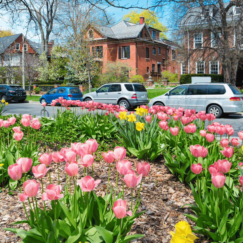 Demystifying Hydro Bills: Understanding Meaning and Components