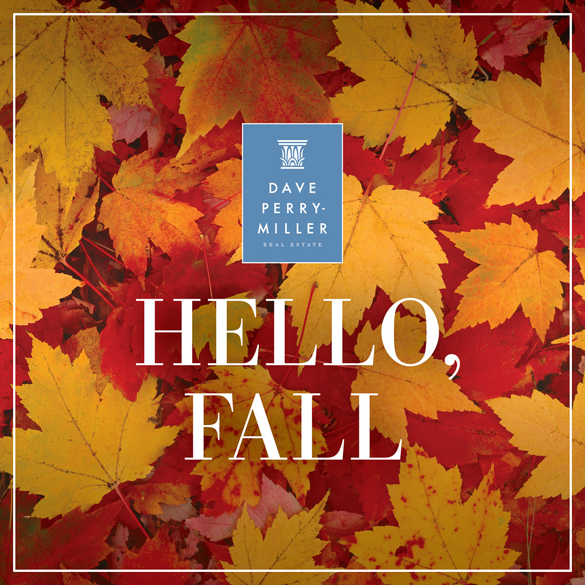 Alexia and Alex Gallagher | Hello, Fall