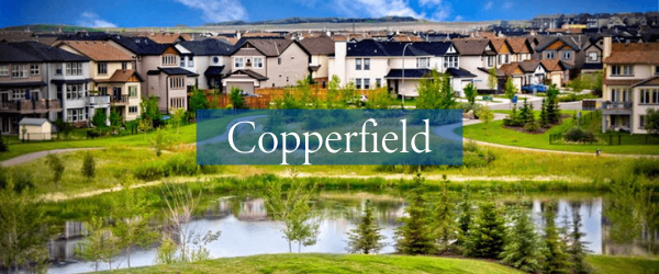 Home | Debbie Rice Real Estate