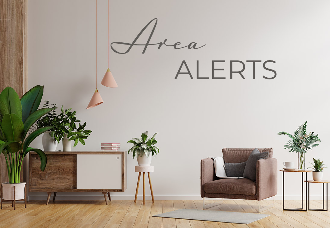 Home | Jessica Moniz Real Estate