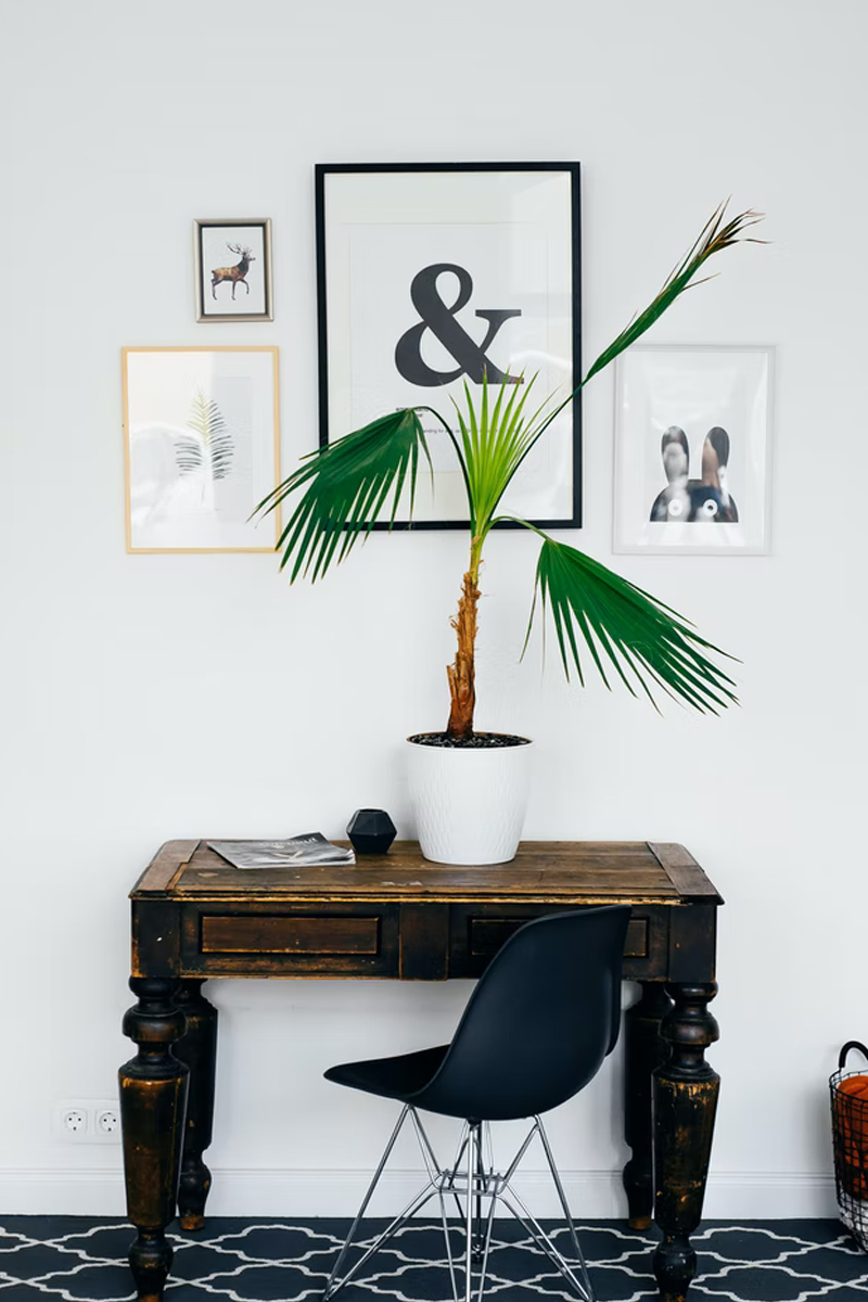 Home | New Life Realty Group