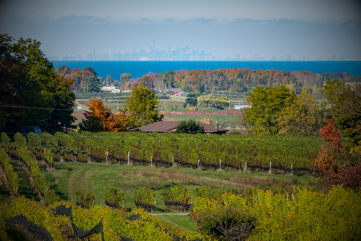 Niagara Region: An Overview Of Each Community | Evusto